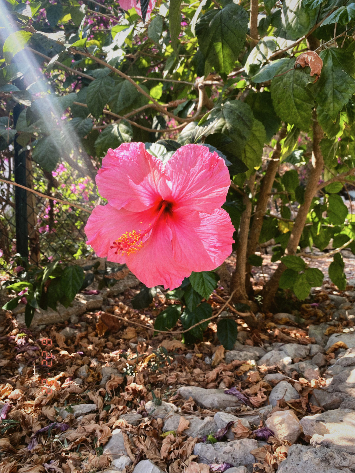 My top Menorca Travel Tips and Recommendations ~ An Insider's Guide